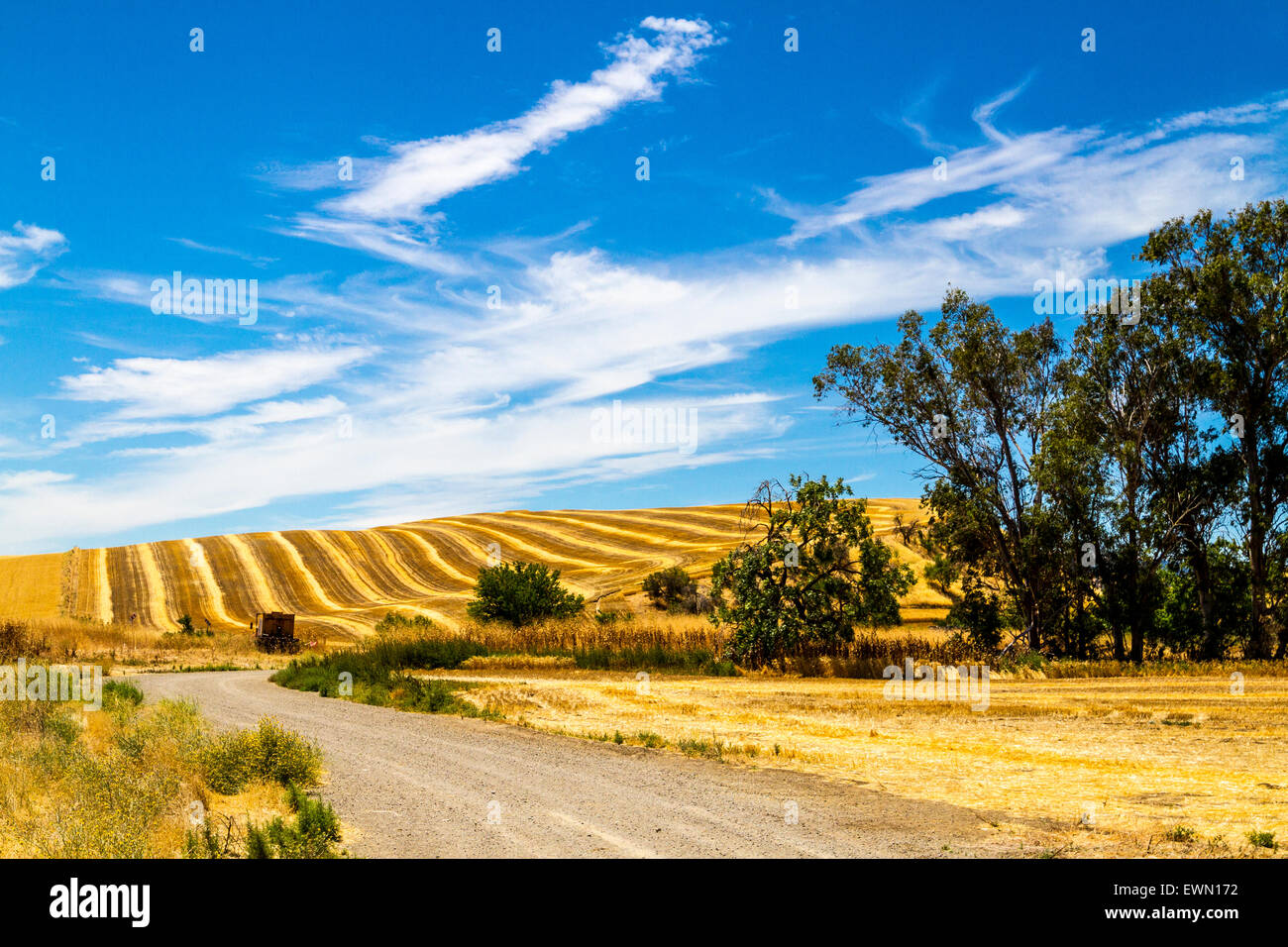 A freshly mown field in Antioch California Stock Photo - Alamy