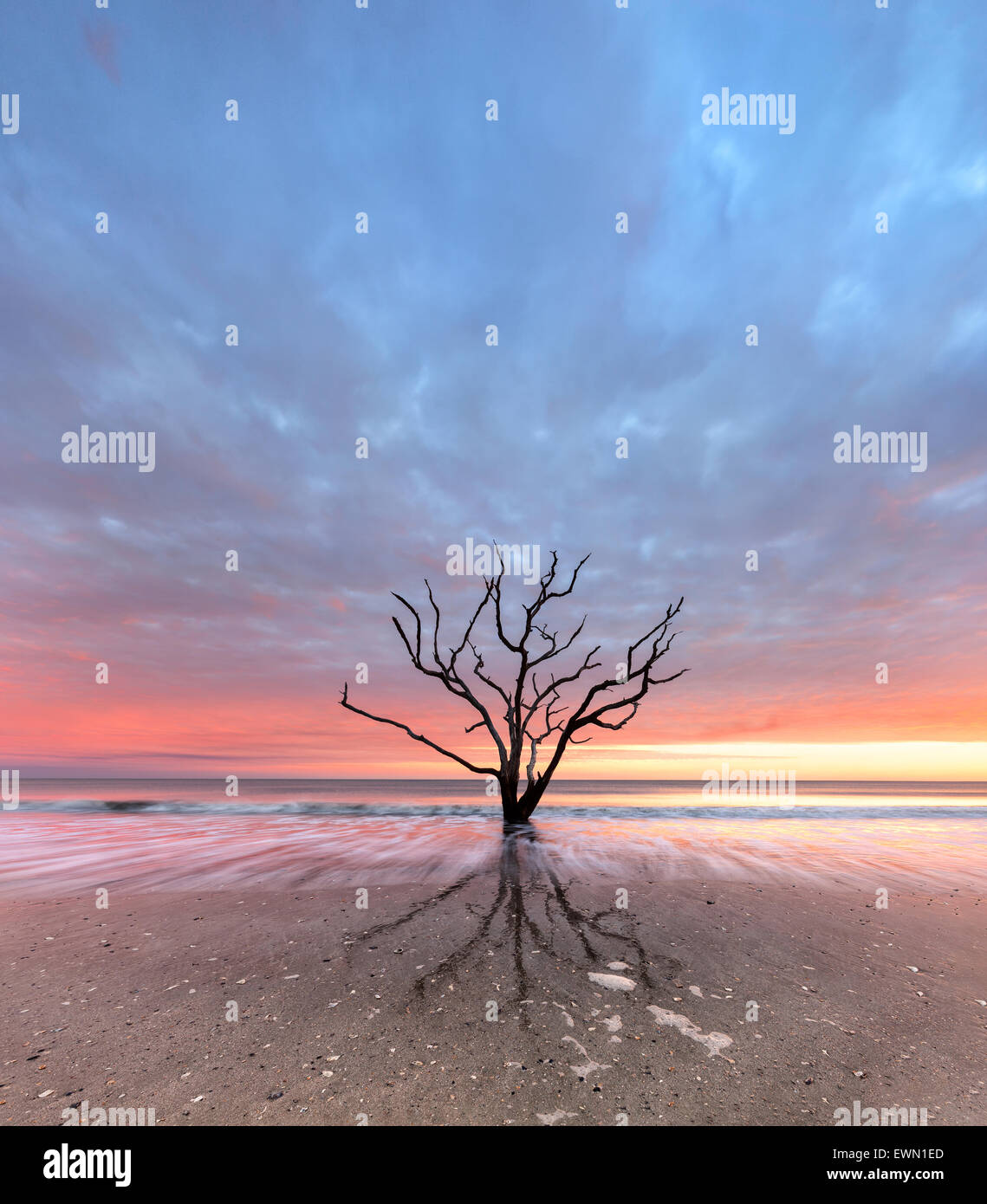 Botany Bay beach at cloudy sunset, Edisto Island, South Carolina, USA ...