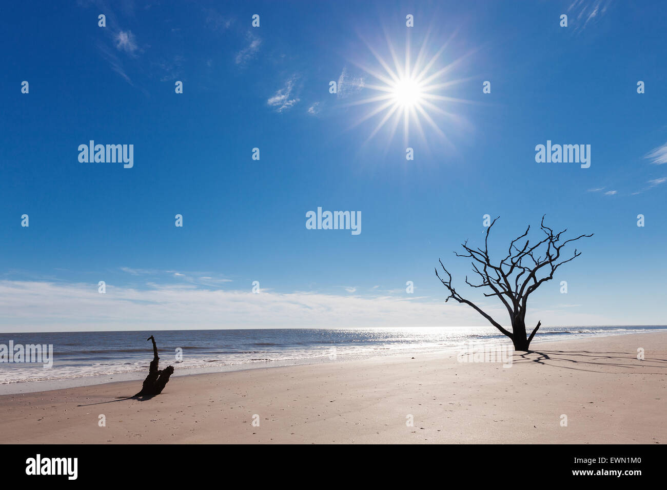 Botany Bay beach, Edisto Island, South Carolina, USA Stock Photo - Alamy