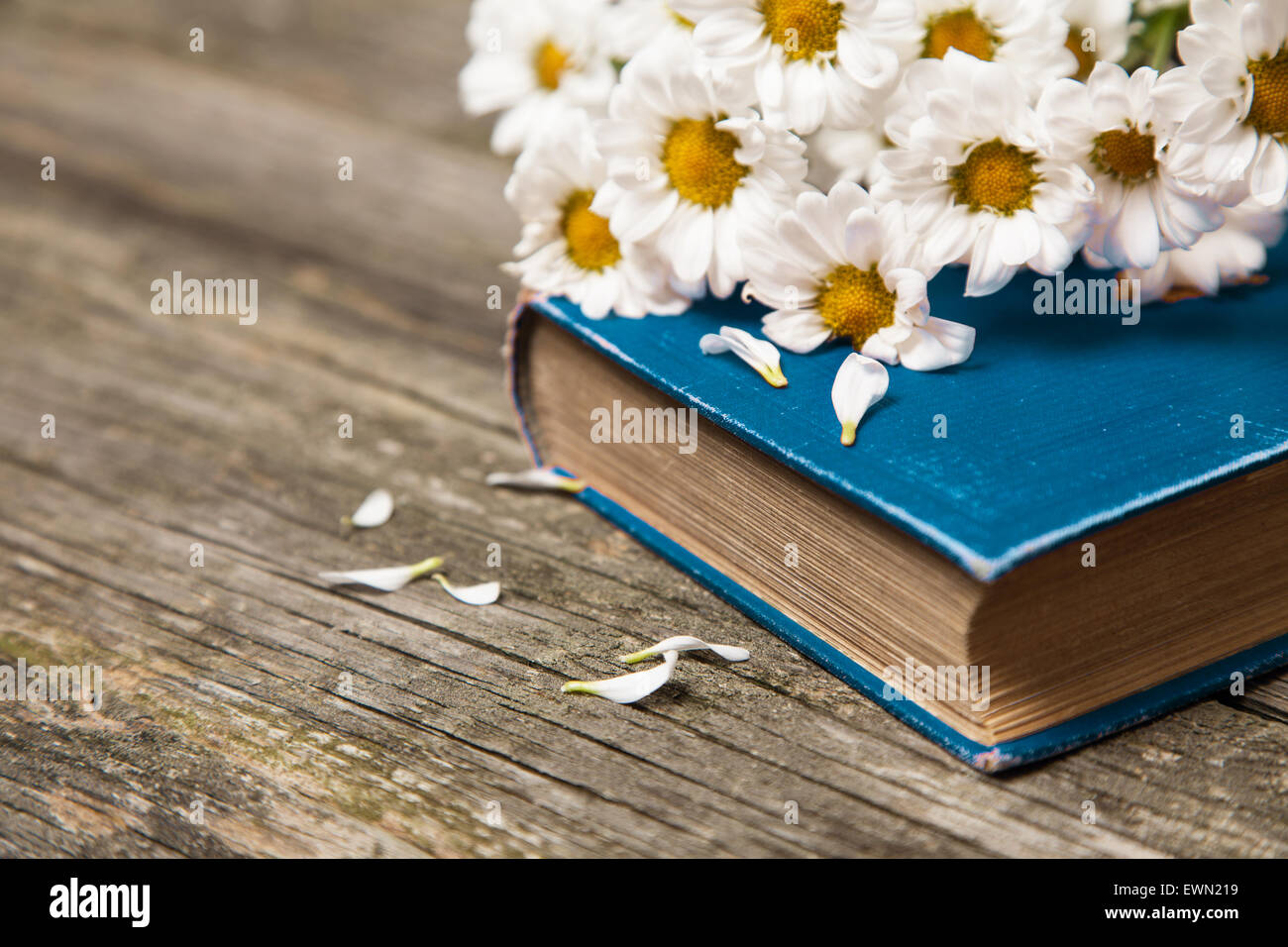 Beautiful book cover design flowers hi-res stock photography and images ...