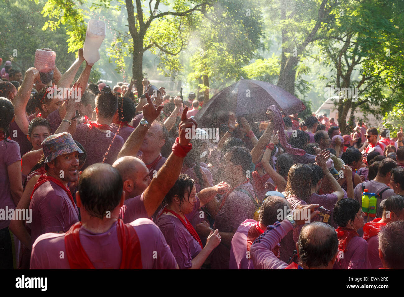 People having fun. Battle of wine festival. Haro. La Rioja. Spain Stock ...