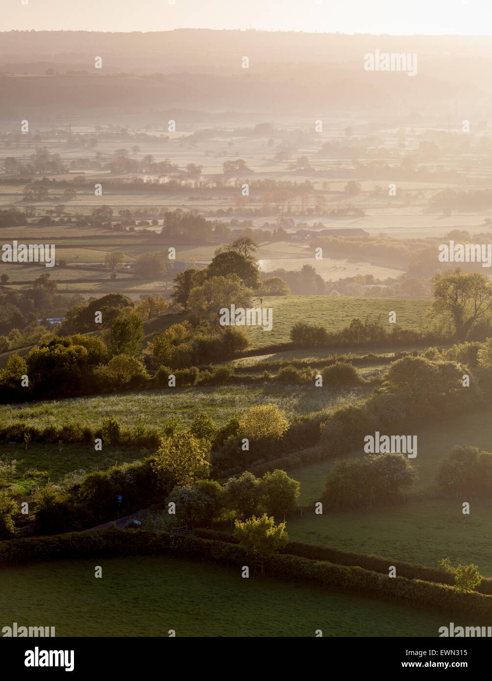 Somerset countryside hi-res stock photography and images - Alamy