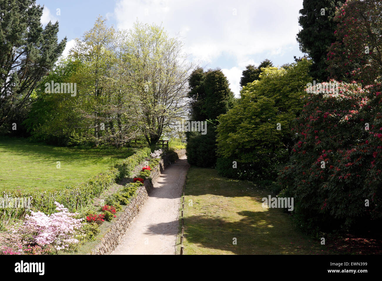 LOST GARDENS OF HELIGAN CORNWALL UK Stock Photo - Alamy