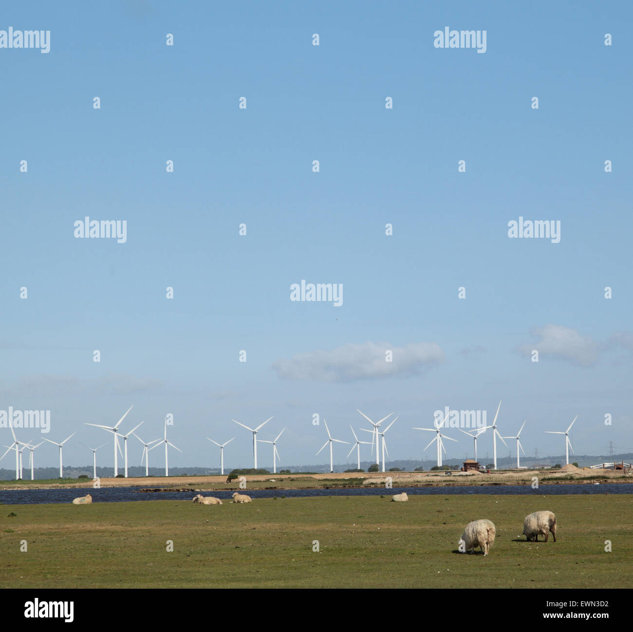 An onshore wind farm on Romney Marsh on the Kent coast, south east ...