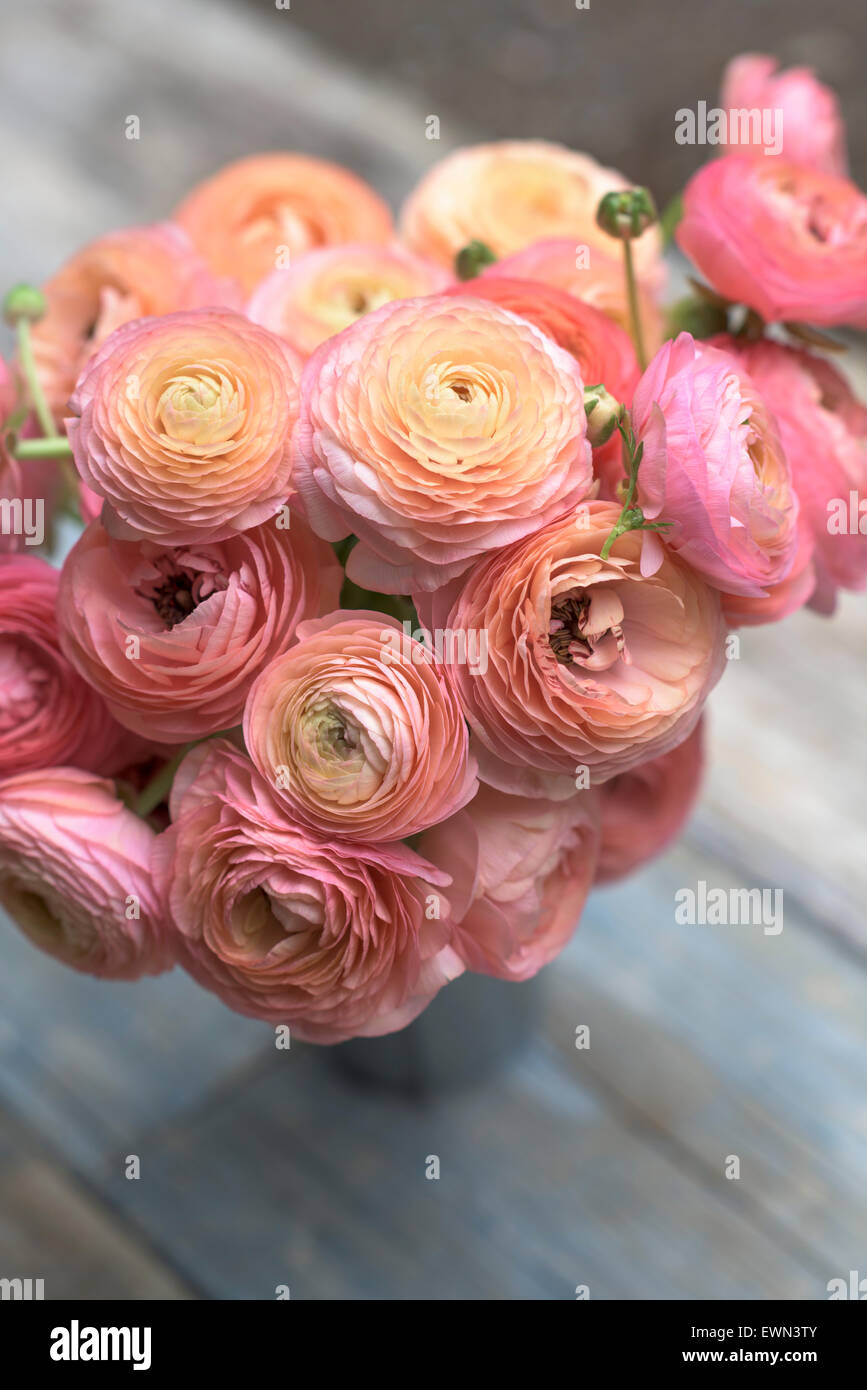 Coral Ranunculus Bouquet