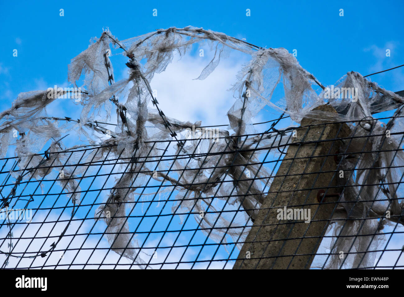 razor wire with rubbish Stock Photo - Alamy