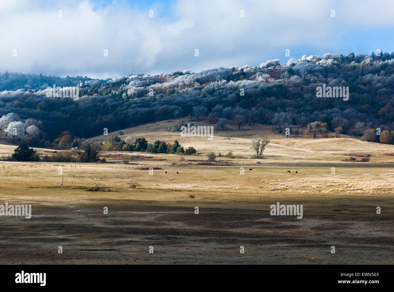 Hillside frozen hi-res stock photography and images - Alamy
