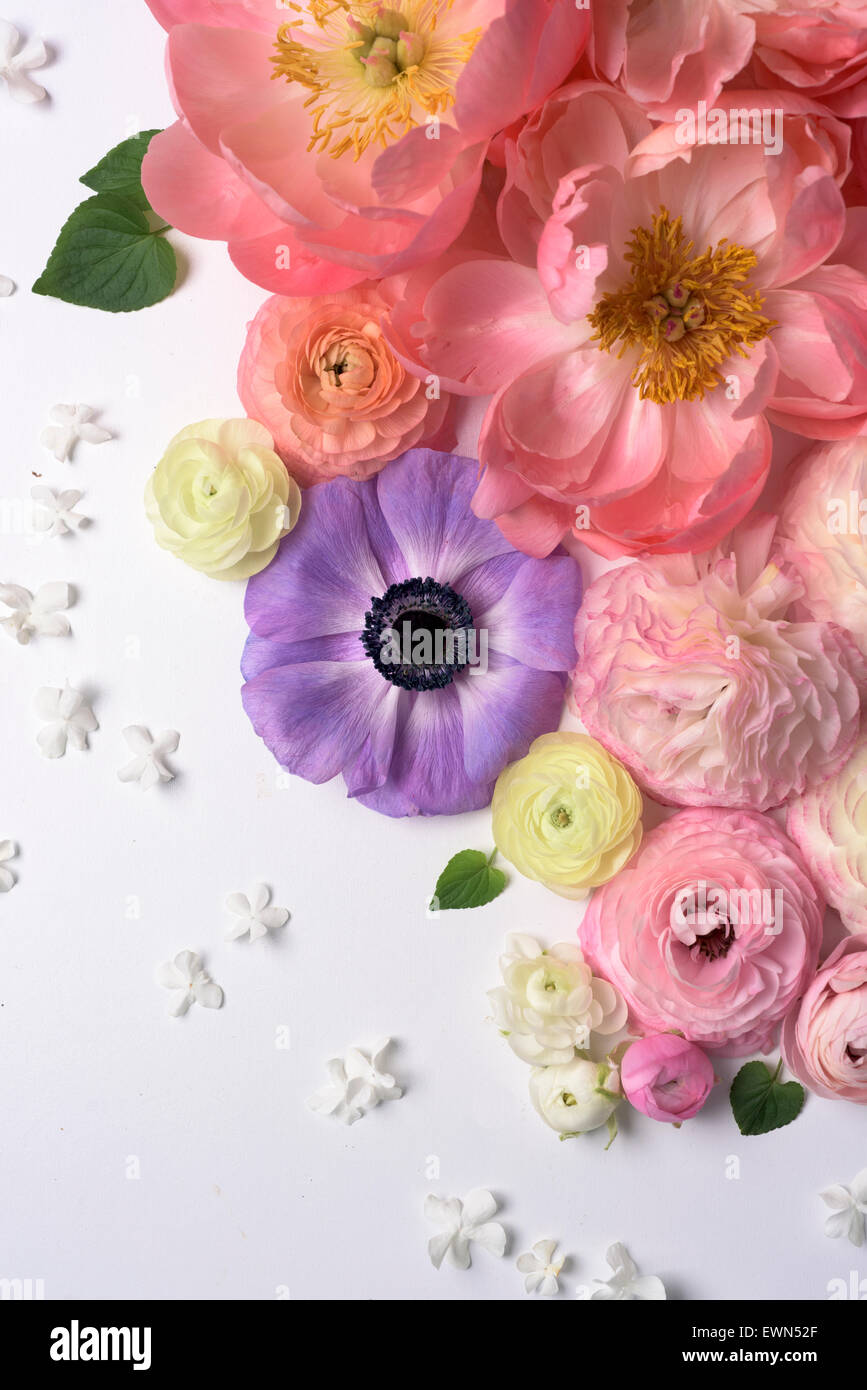 Overhead shot of ranunculus, peonies and anemones Stock Photo - Alamy