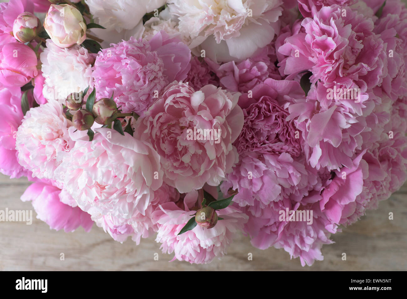 Bouquet of mixed pink and white peonies in container Stock Photo - Alamy