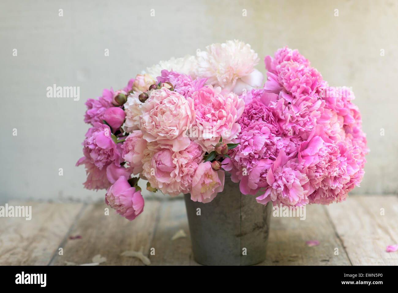 Peonies container hi-res stock photography and images - Alamy