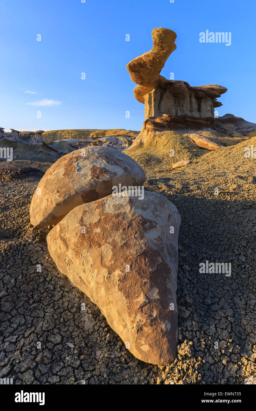 Momos wing hi-res stock photography and images - Alamy