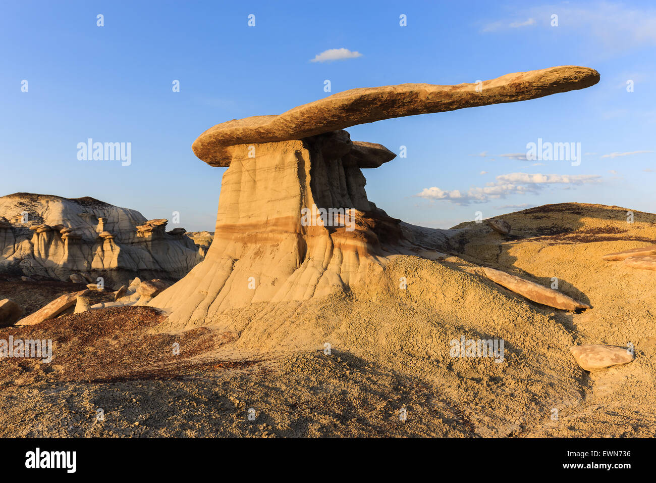 Momos wing hi-res stock photography and images - Alamy