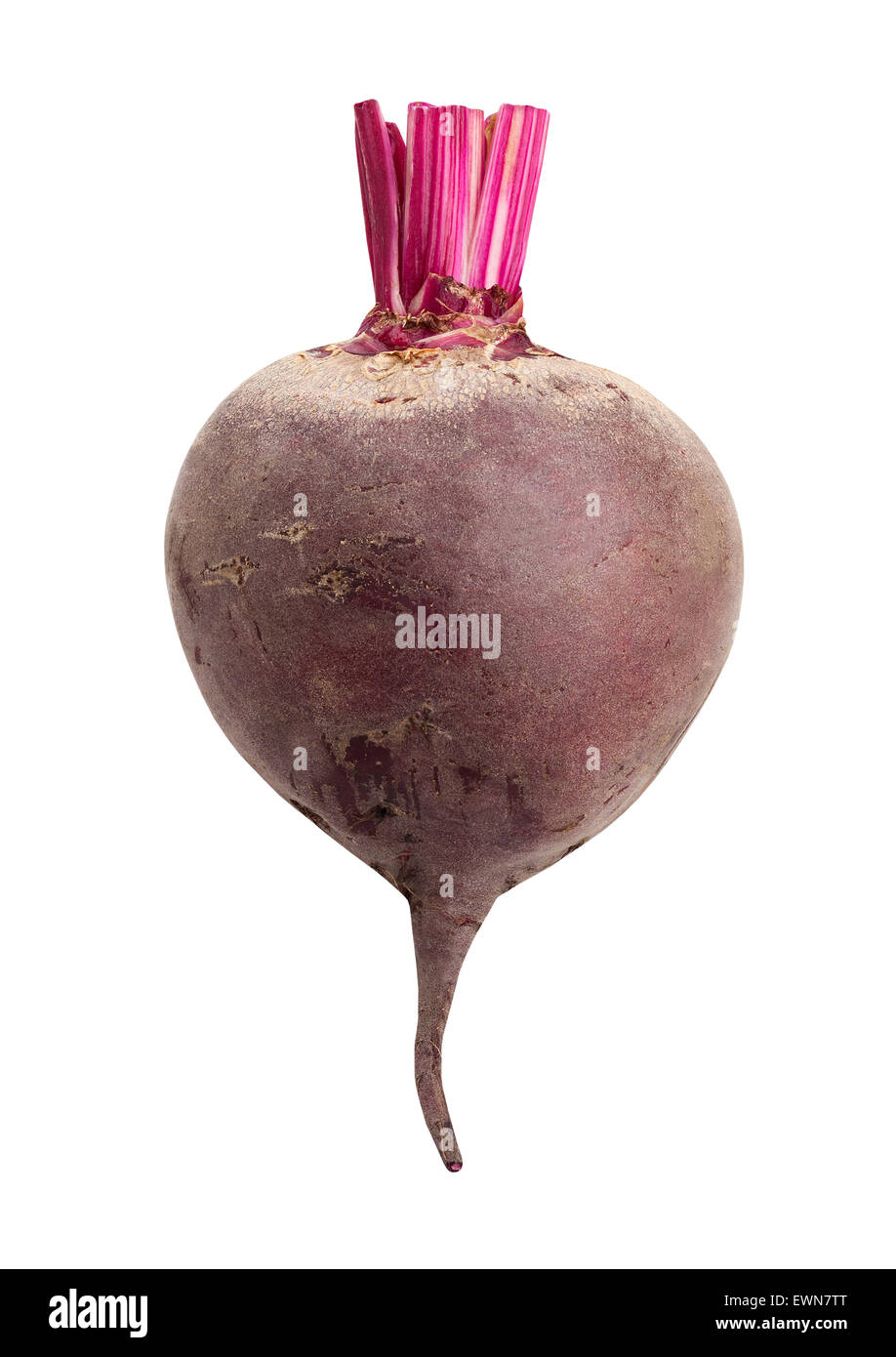 White beetroot Cut Out Stock Images & Pictures - Alamy