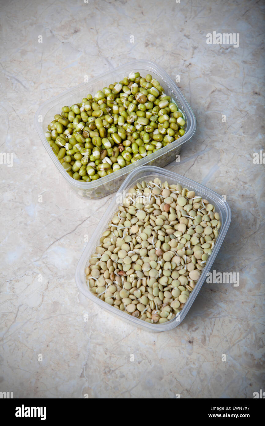 Green white small Beans in plastic containers on marble background ...