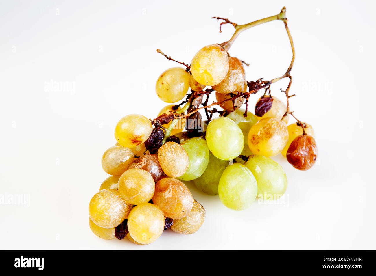 Cluster of white grapes Stock Photo - Alamy
