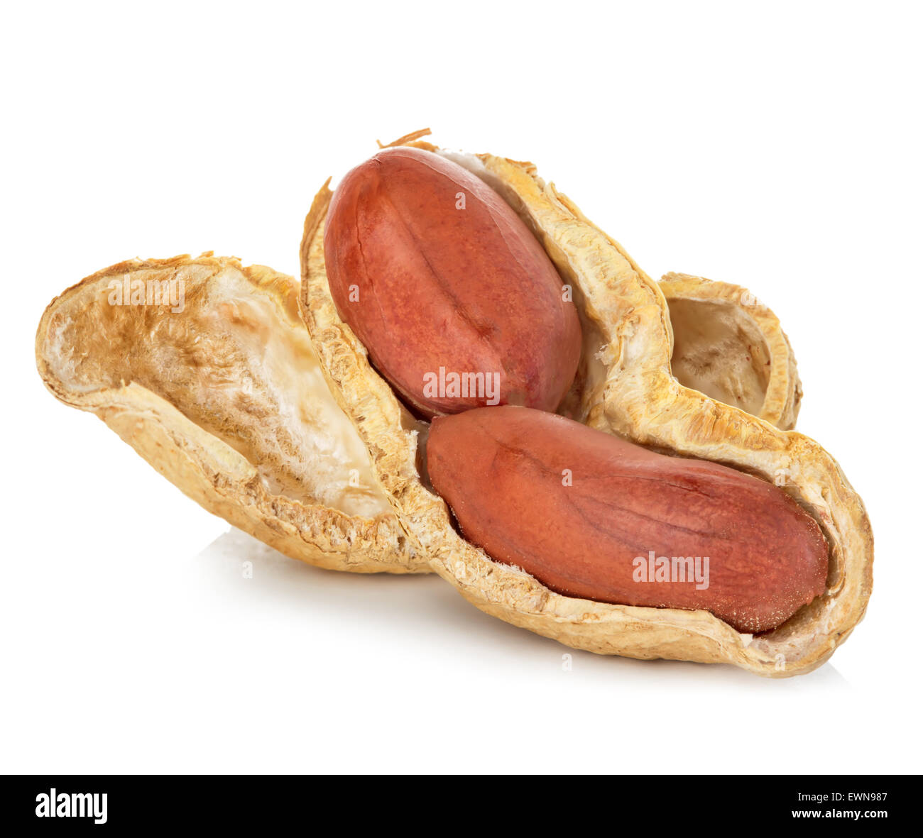 Peanuts isolated on a white background Stock Photo - Alamy