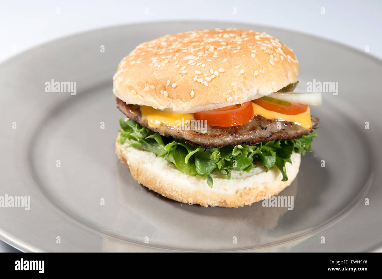 Hamburger on Plate Stock Photo - Alamy