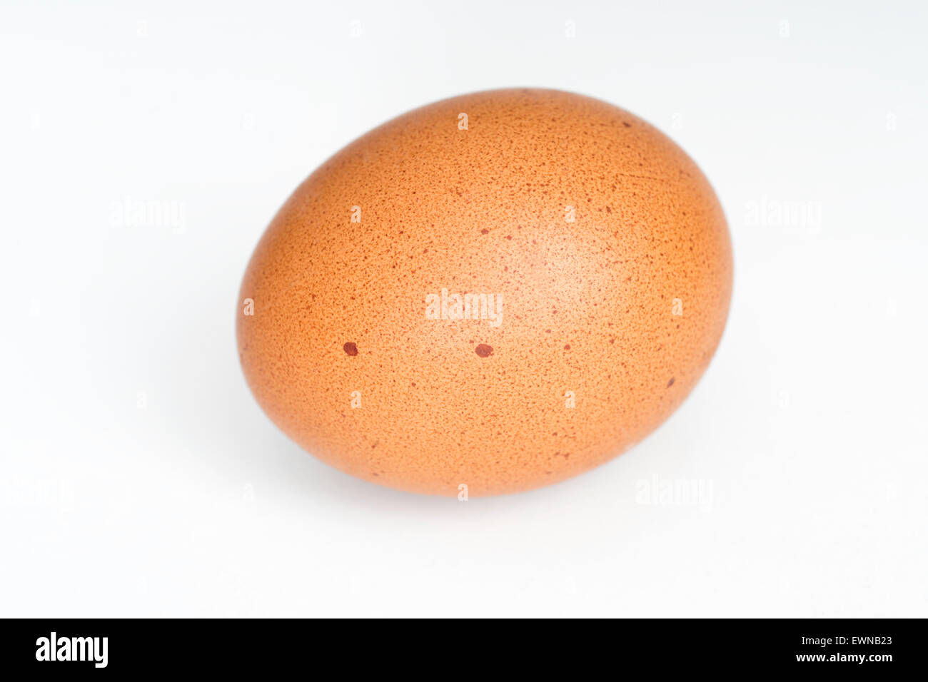 Chicken egg hi-res stock photography and images - Alamy