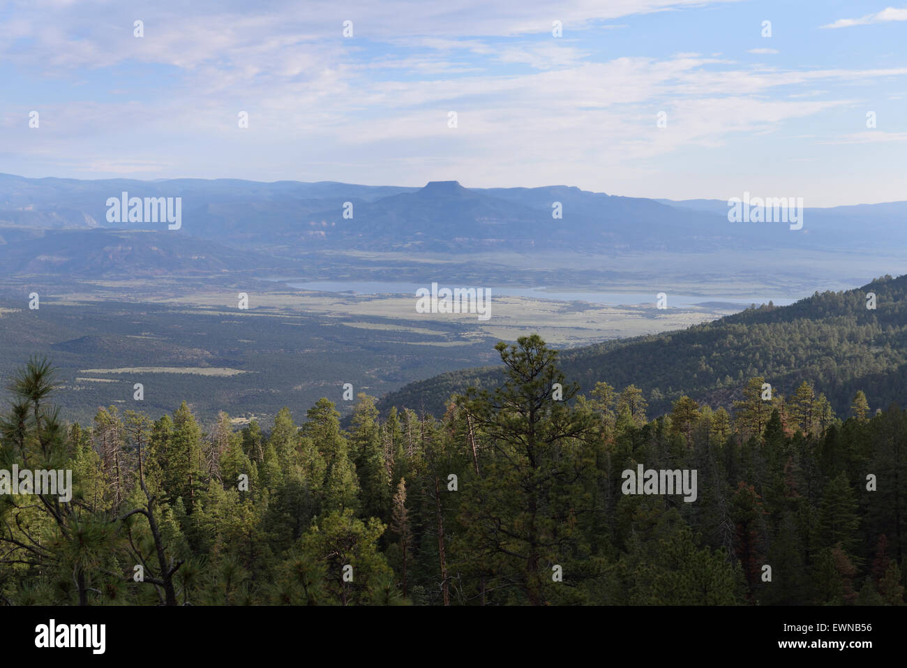 Kit Carson National Forest near Abiquiu Rio Arriba County New Mexico ...