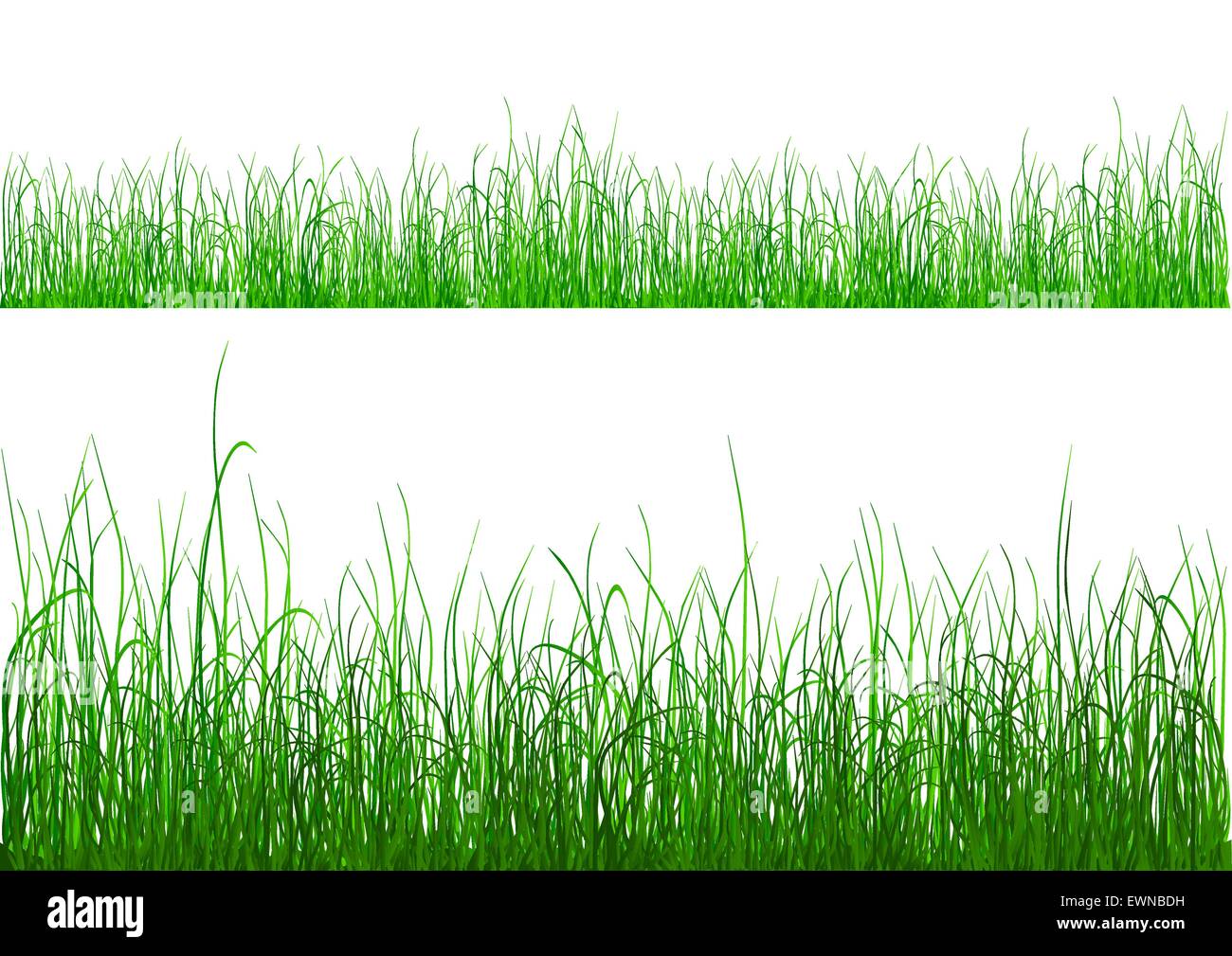 Green grass isolated Stock Vector Images - Alamy