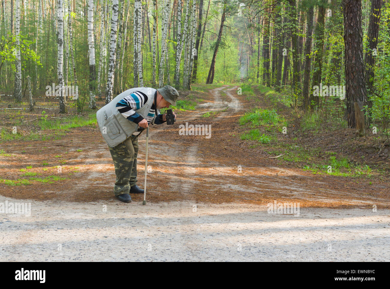 Senior photographer making photo with old film camera in morning forest ...