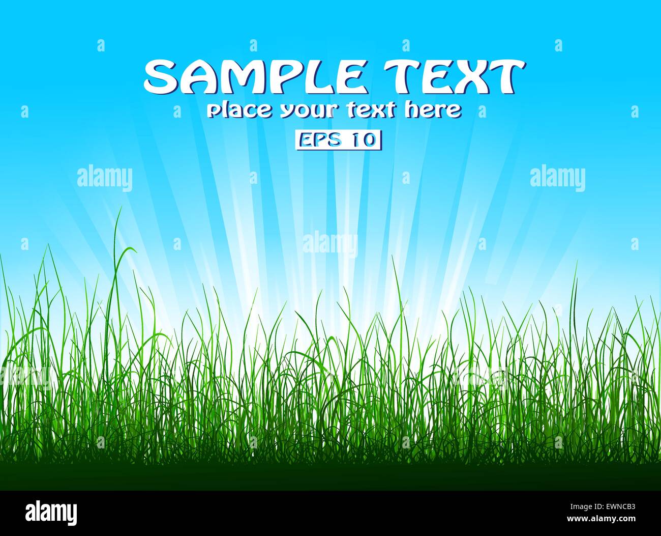 Sunbeams and green field abstract background Stock Vector Images - Alamy