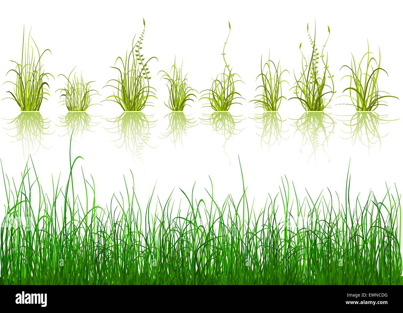 Grass vector vectors hi-res stock photography and images - Alamy