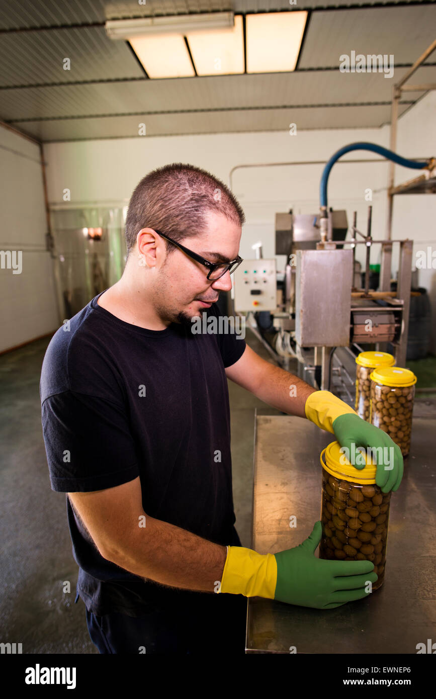 Candid photos of realistic man man working in olives factory Stock ...