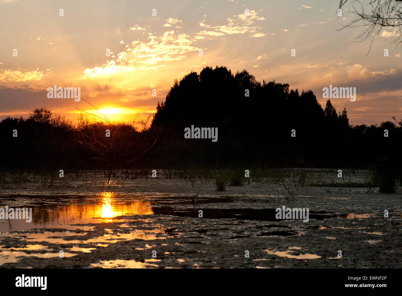 Lake (Resaca) Sunset at Camp Lula Sams - Brownsville, Texas USA Stock ...