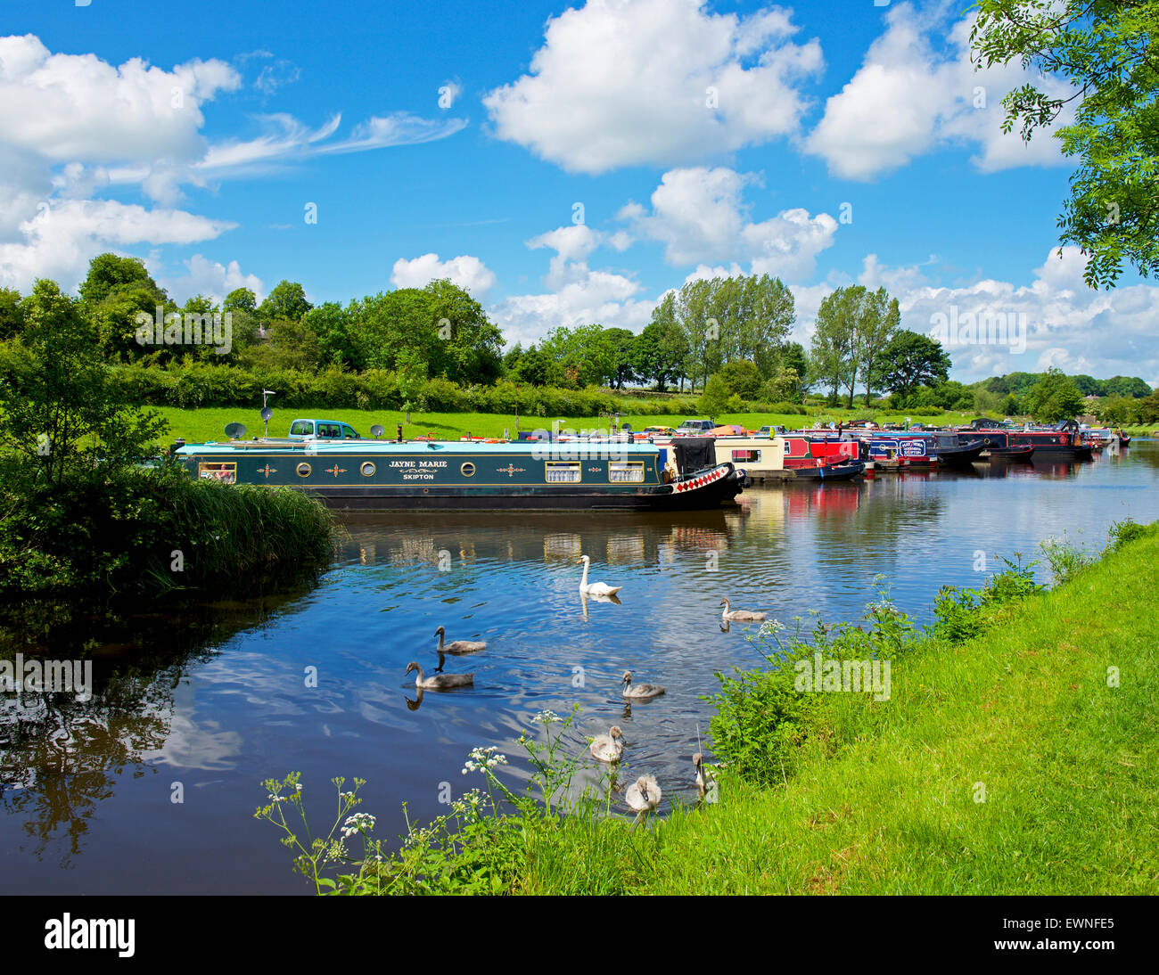 Lower park marina hi-res stock photography and images - Alamy