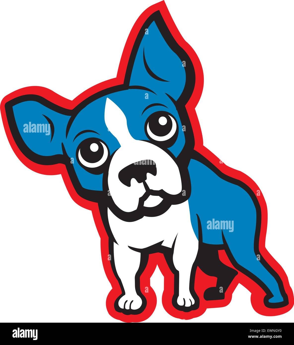 A graphic illustration of a Boston Terrier Stock Vector Image & Art - Alamy