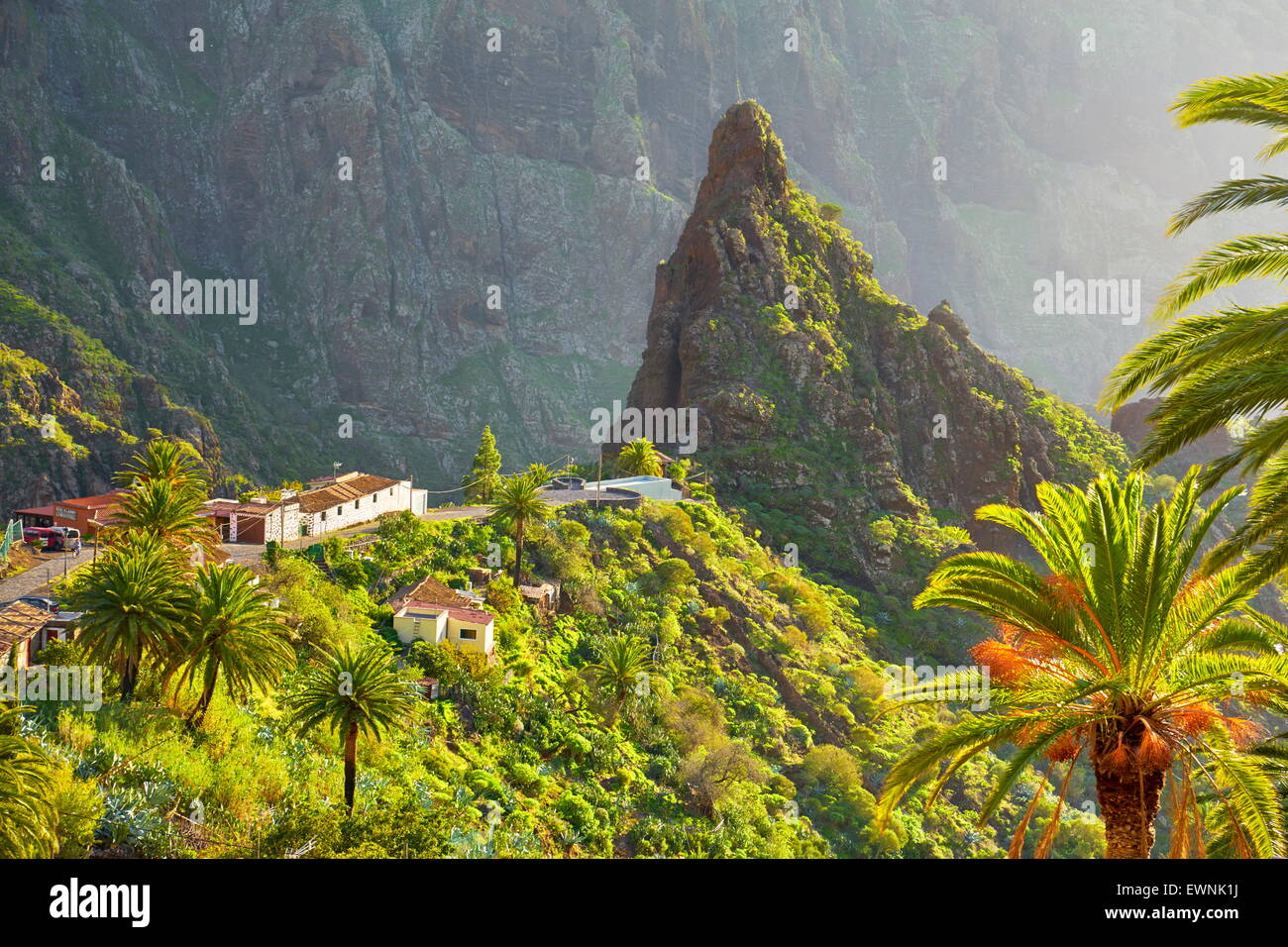 Masca tenerife hi-res stock photography and images - Alamy