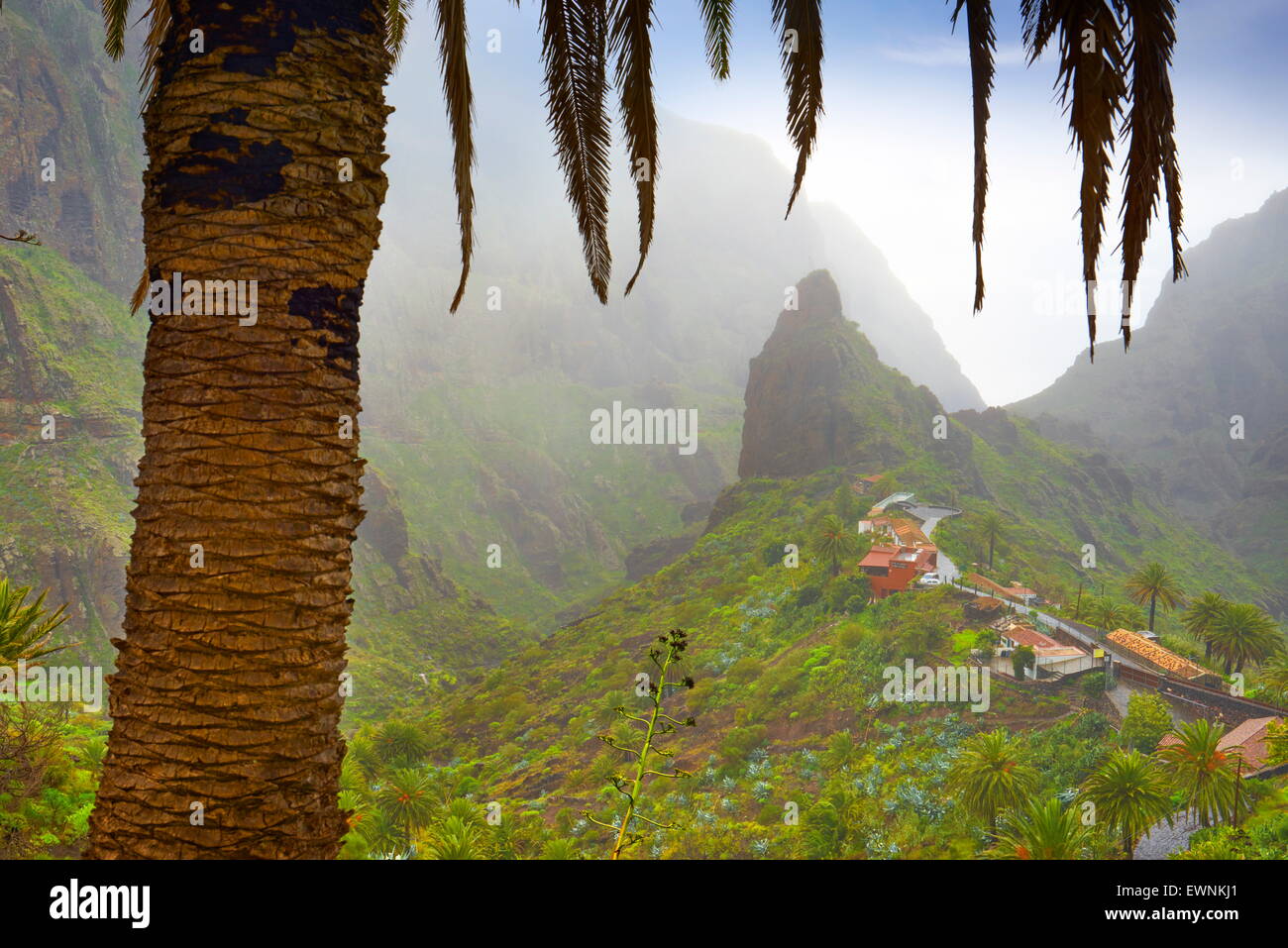 Tenerife - Masca village, Canary Islands, Spain Stock Photo - Alamy