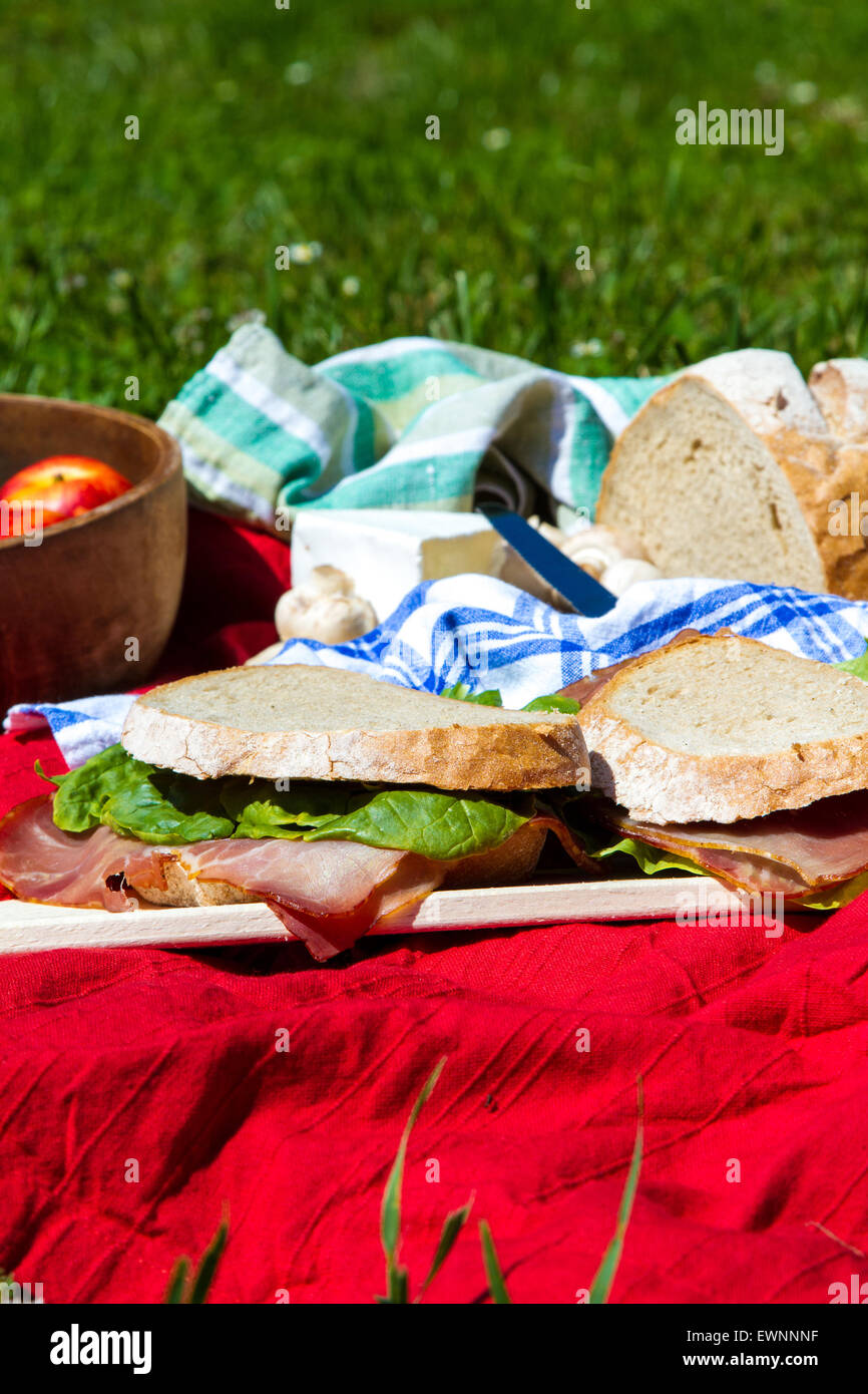 Picnic in the nature hi-res stock photography and images - Alamy