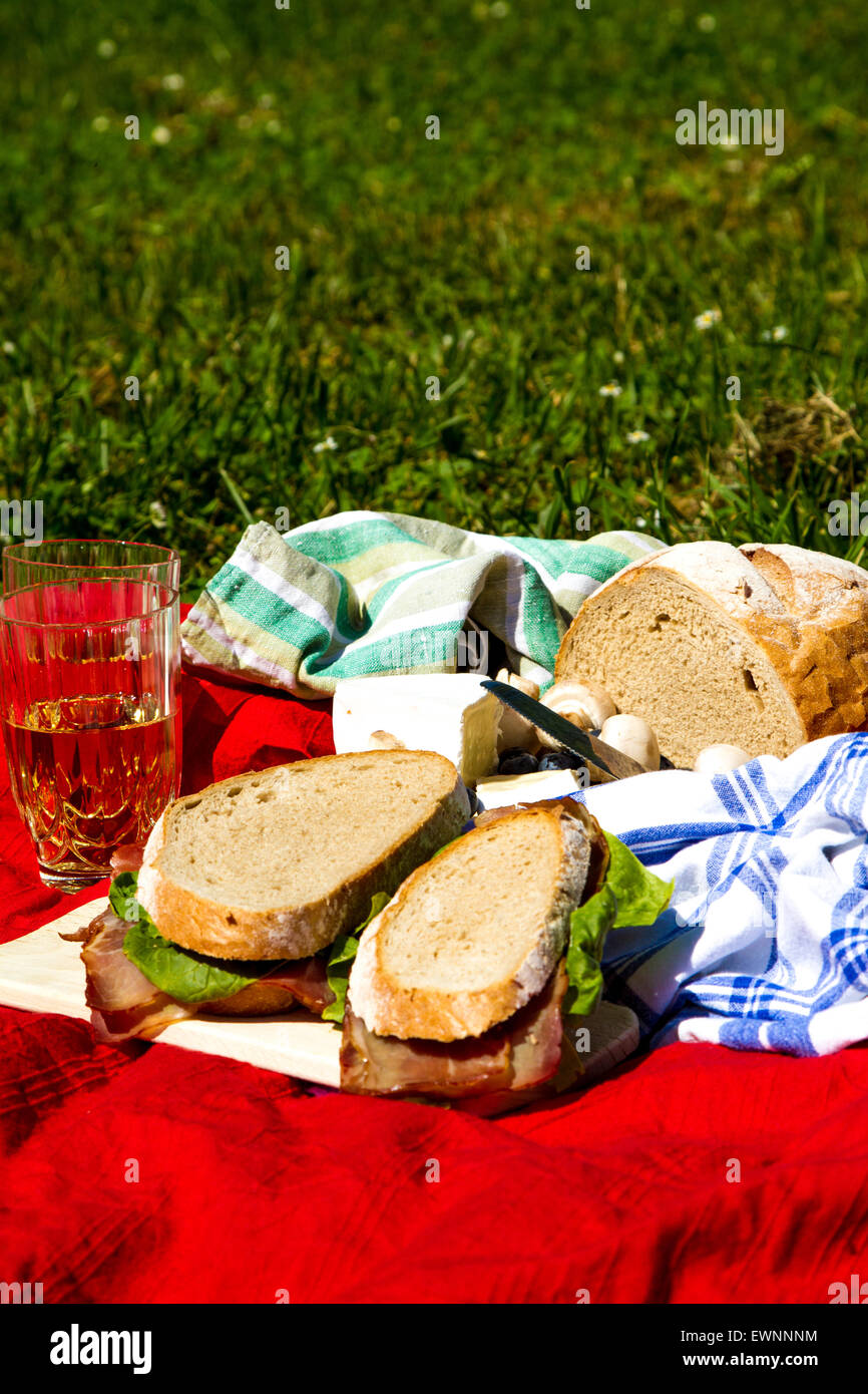 Picnic in the nature in a sunny day Stock Photo - Alamy