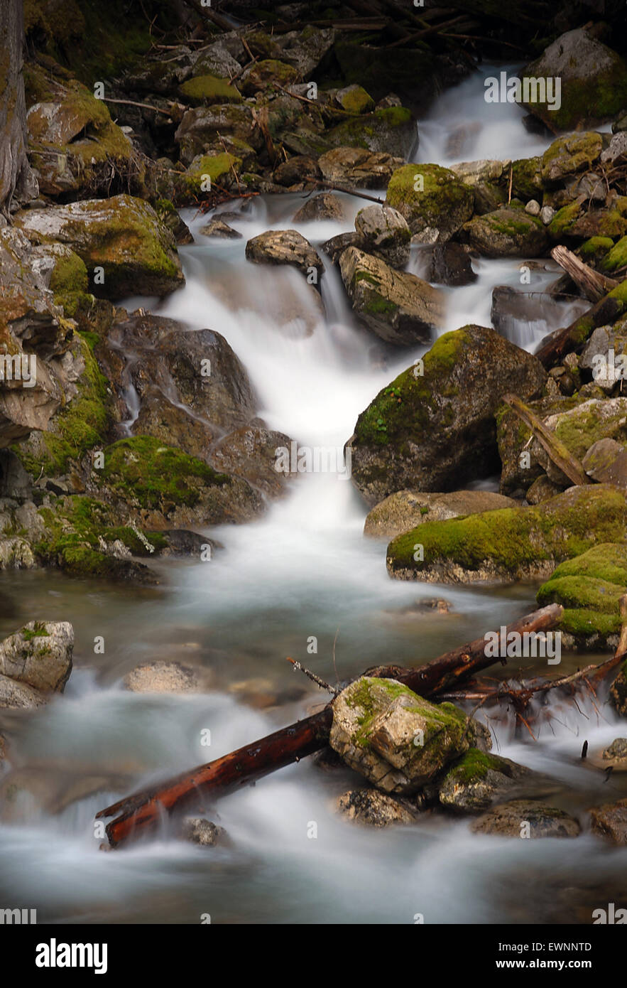 A cascading stream in North Cascades National Park, Washington Stock ...