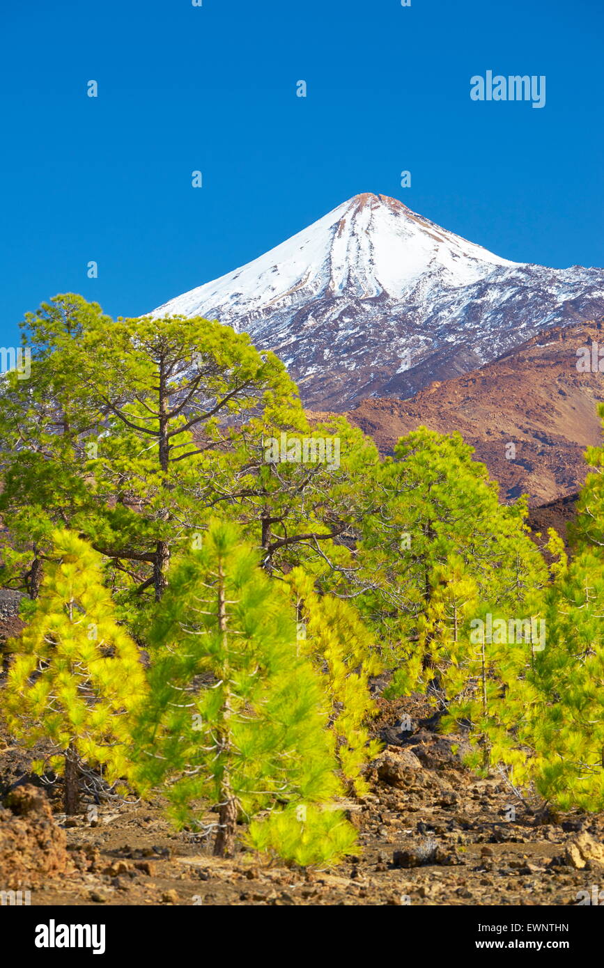 El Teide Mount, Tenerife, Canary Islands, Spain Stock Photo - Alamy