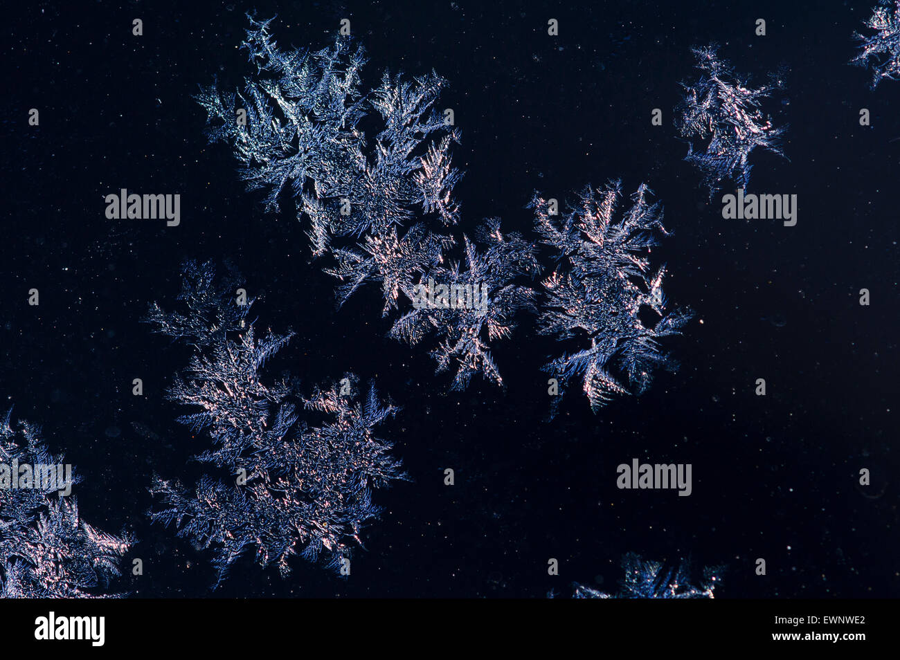 Flake of ice hi-res stock photography and images - Alamy