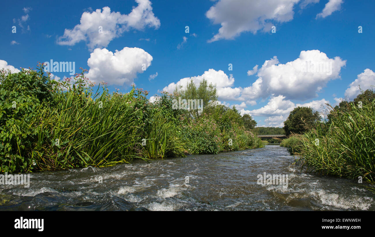 Fish pass hi-res stock photography and images - Alamy