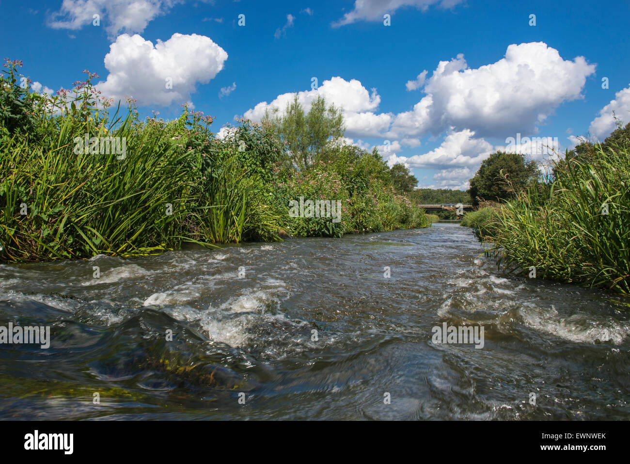 Fish pass hi-res stock photography and images - Alamy