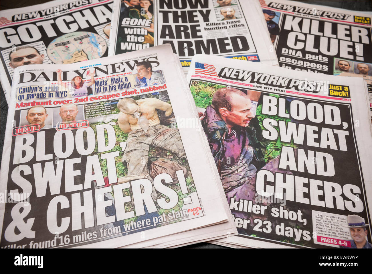 Several days headlines of the New York Daily News and Post newspapers ...