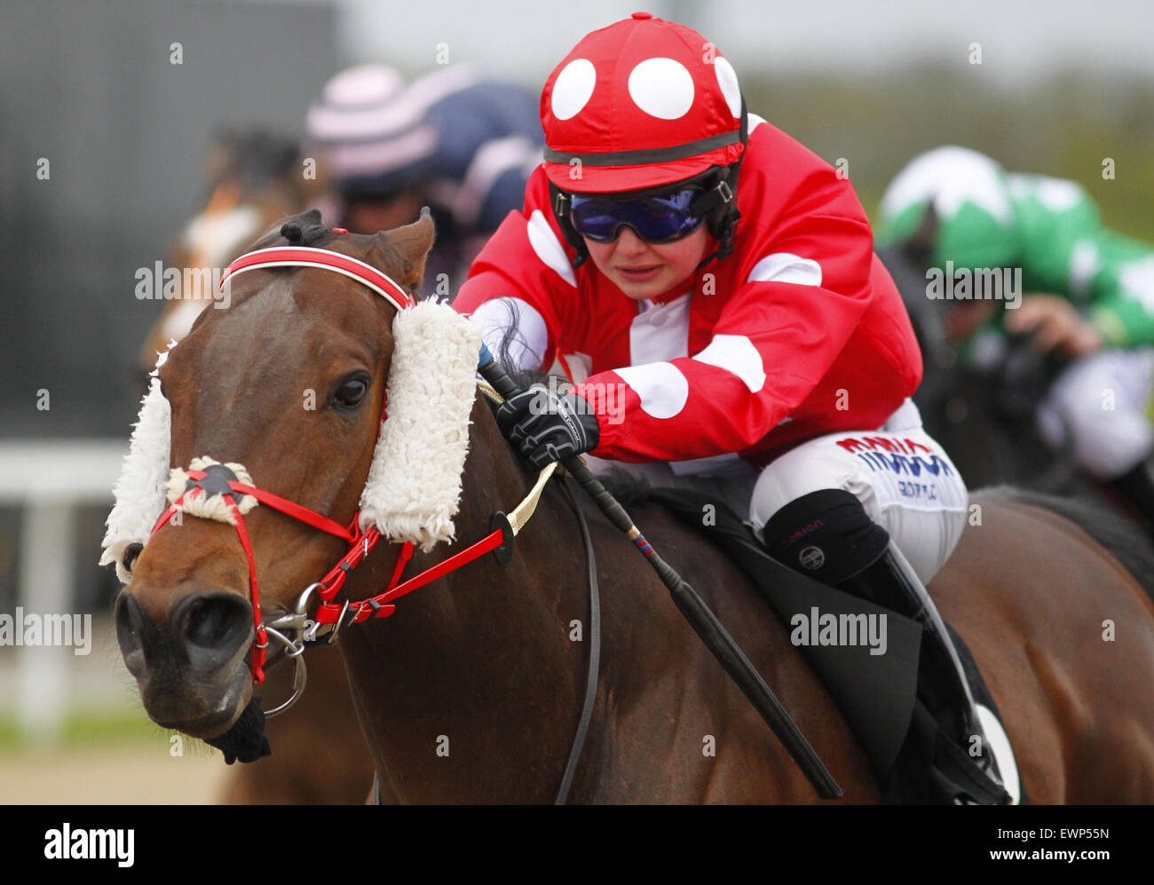 Megan Nicholls, riding Putin, winns the Ladies Day 18th June Handicap ...
