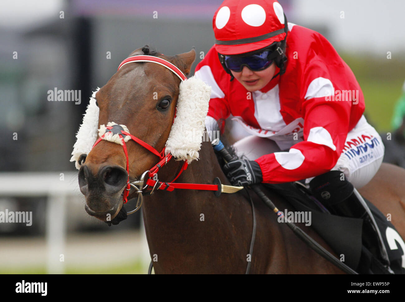 Megan Nicholls, riding Putin, winns the Ladies Day 18th June Handicap ...