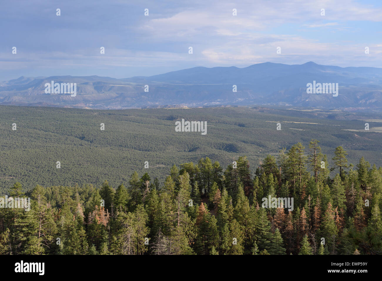 Rio arriba county new mexico hi-res stock photography and images - Alamy