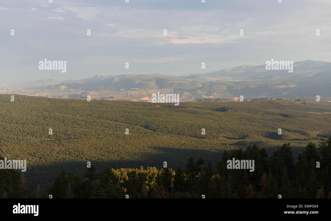 Kit Carson National Forest near Abiquiu Rio Arriba County New Mexico ...