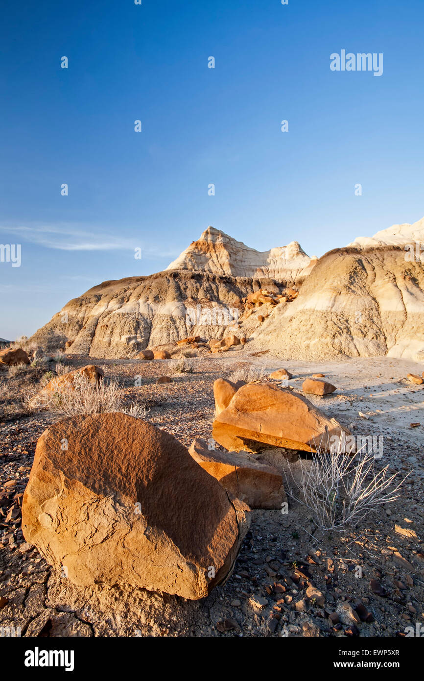 Rocks and badlands, Bisti De-Na-Zin Wilderness Area, New Mexico USA ...