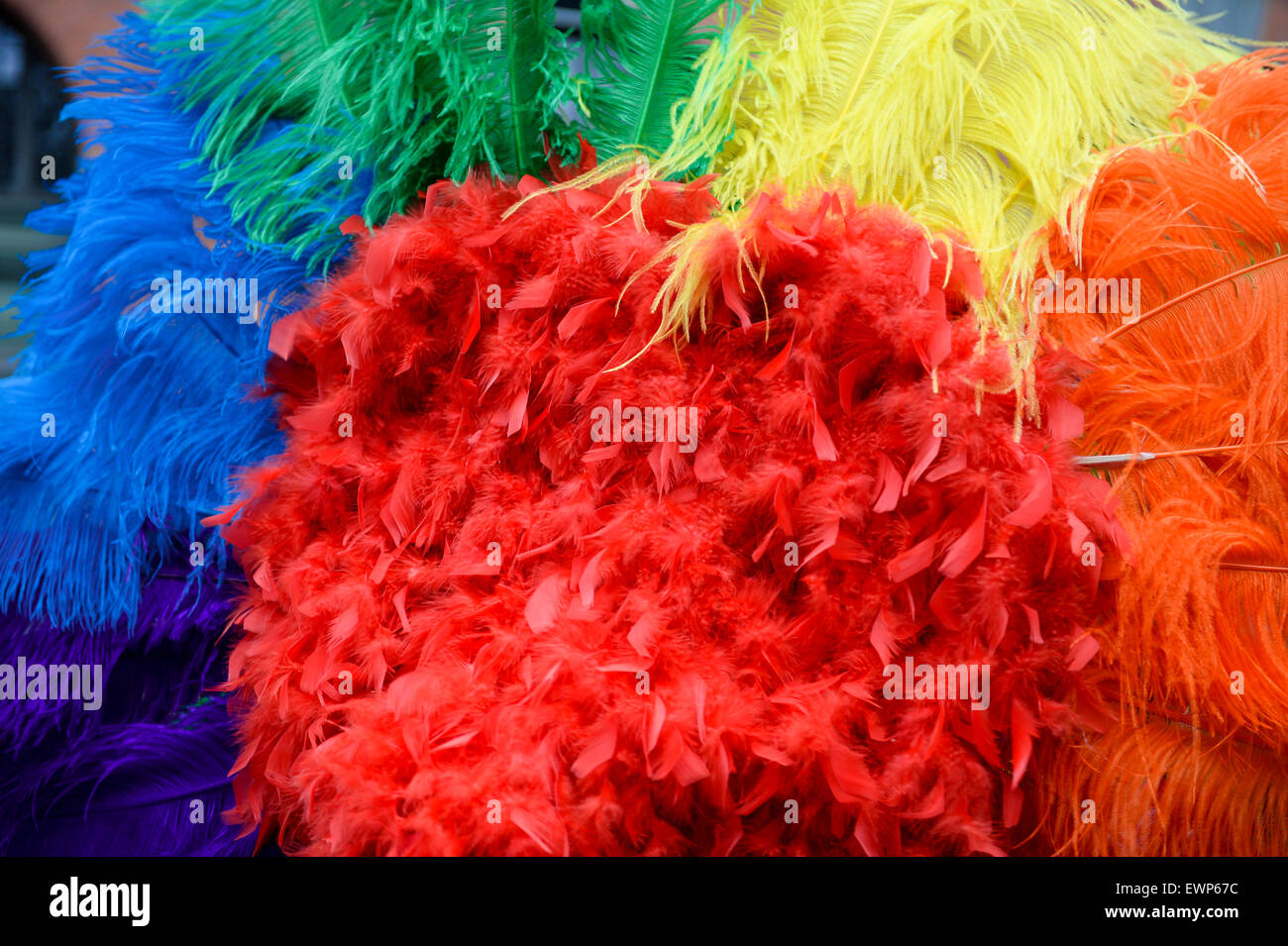 Colorful feathers of a gay pride dress in bright rainbow detail Stock ...