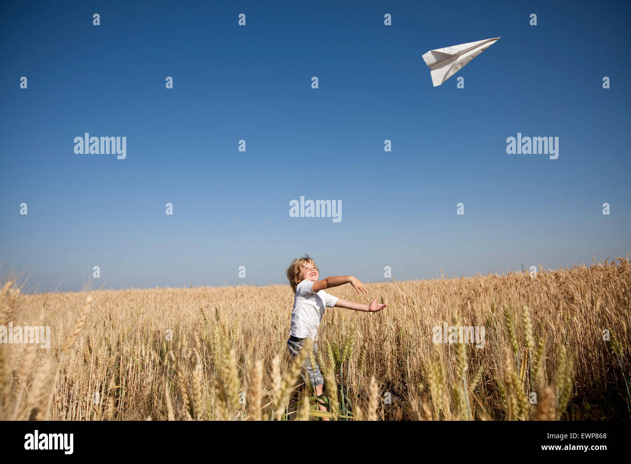 Airplane in a field hi-res stock photography and images - Alamy