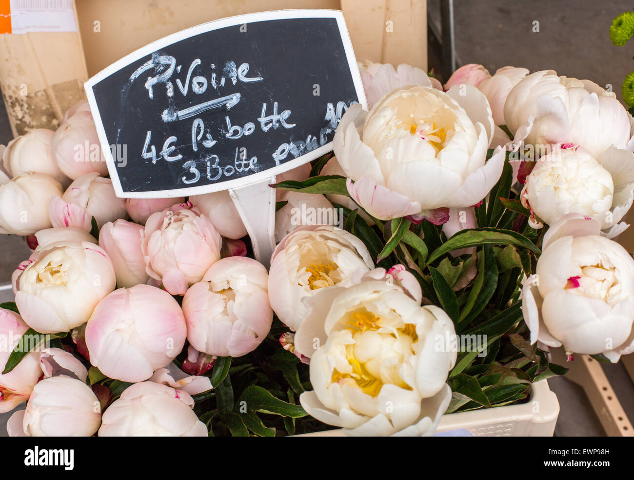 Batte, liège hi-res stock photography and images - Alamy