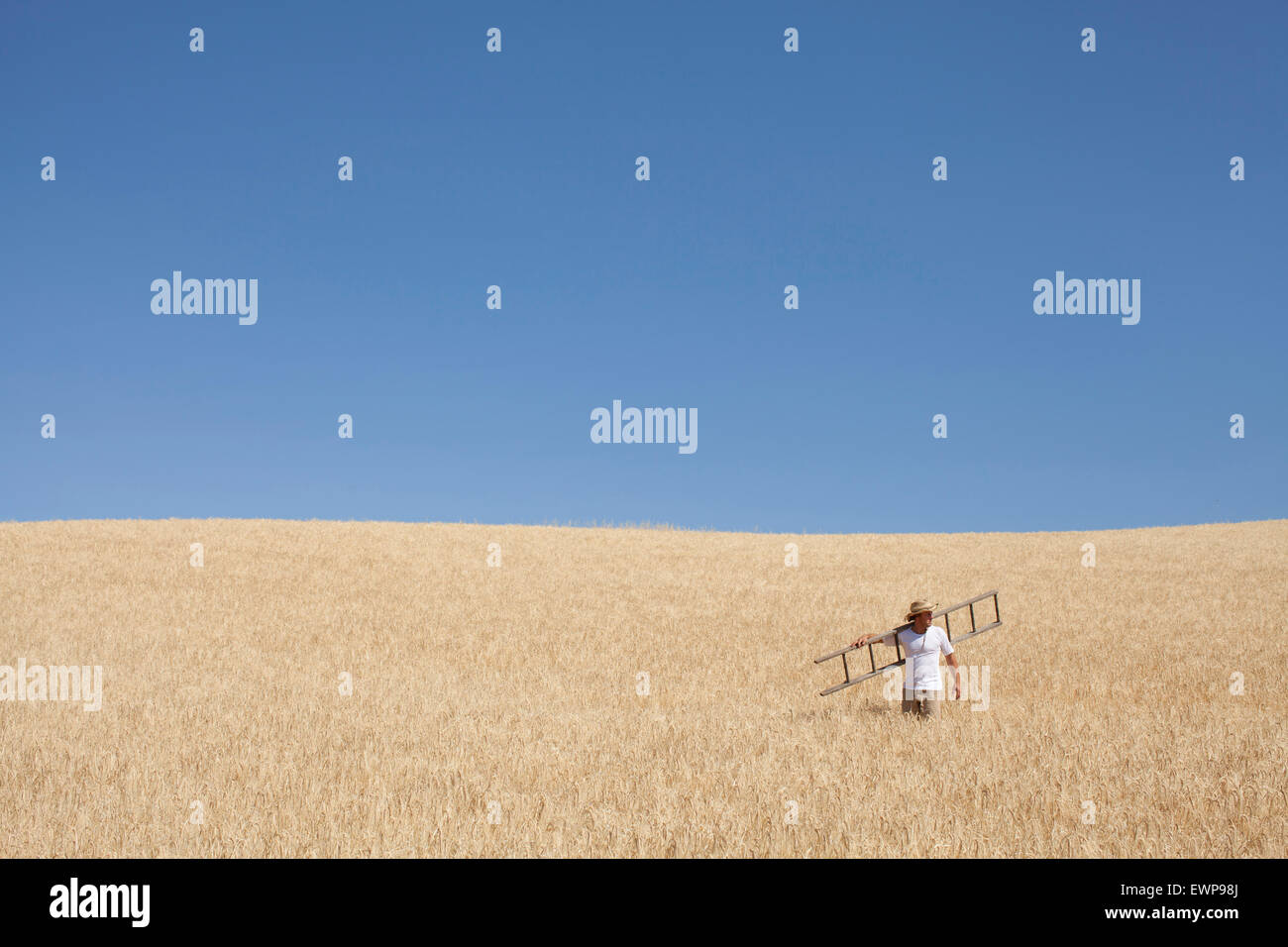 Man up ladder hi-res stock photography and images - Alamy